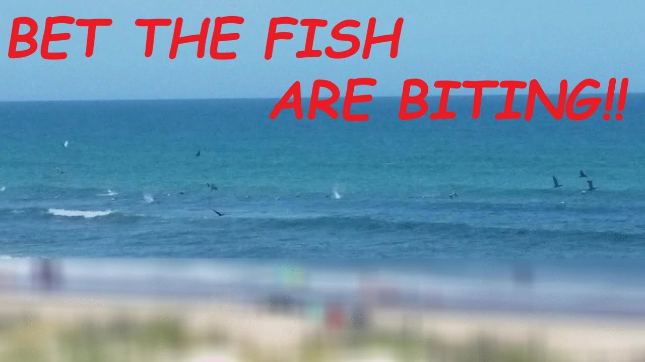 Good Time To Fish! - YouTube