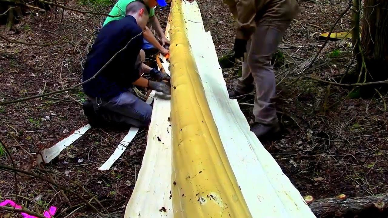 Secret to Quick Debarking- Ep 2- Outsider Log Cabin - YouTube