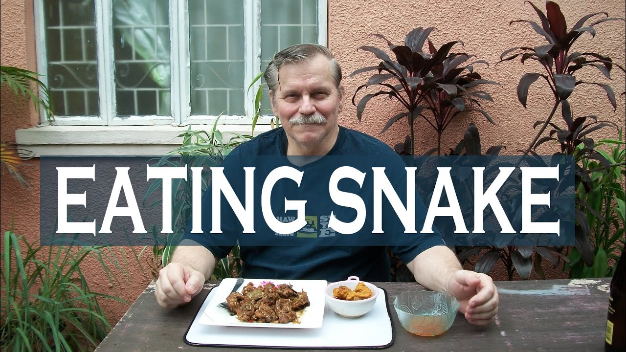 Eating Snake in the Philippines - Asian Exotic Food - YouTube