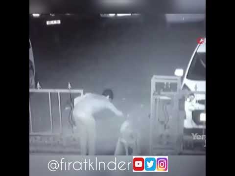 Bir güvenlik görevlisi gece yarısı yanına gelen köpeğin titrediğini görünce montunu cikarttı.