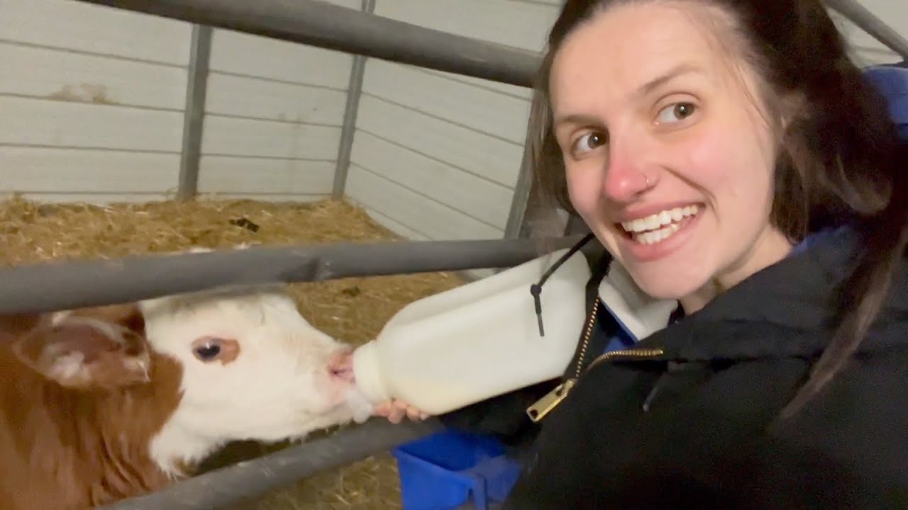 Everyone Meet Daphne! - YouTube