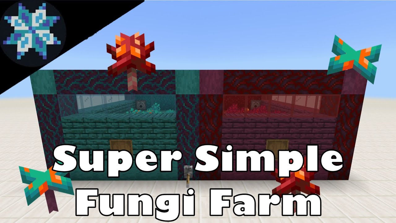 Super Simple Fungi Farm! - YouTube