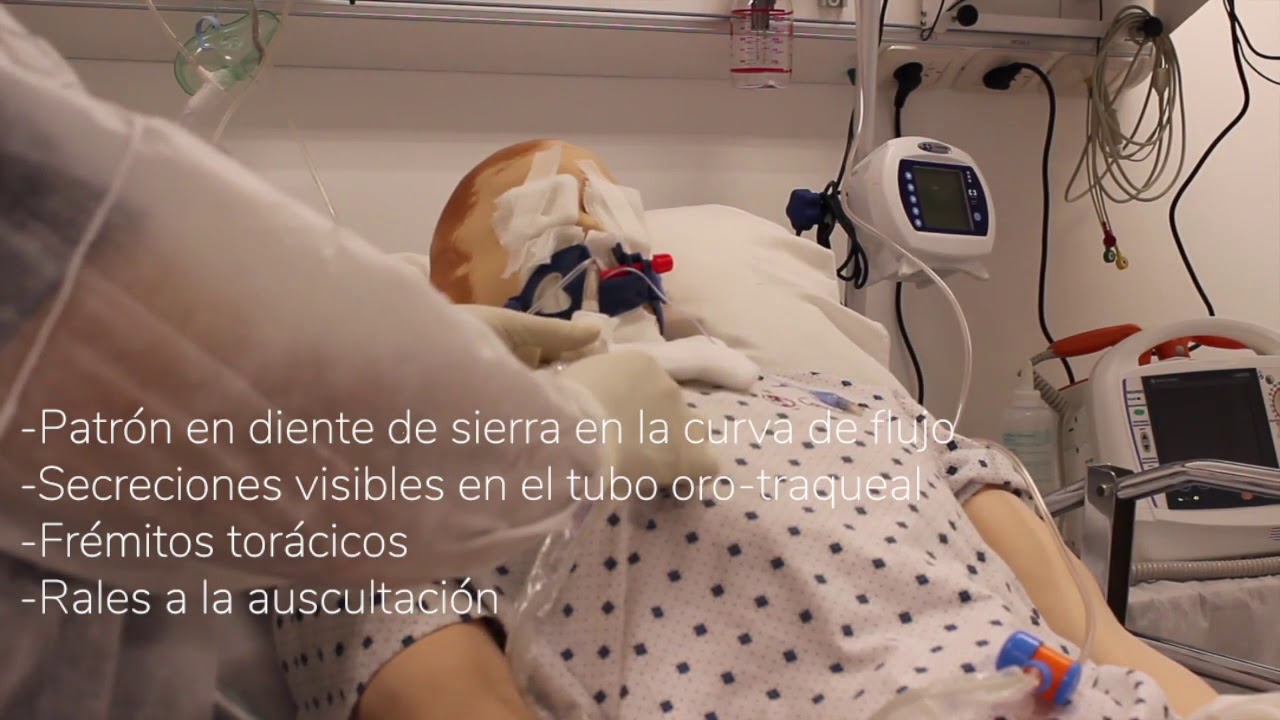 05 - Aspiracion - YouTube