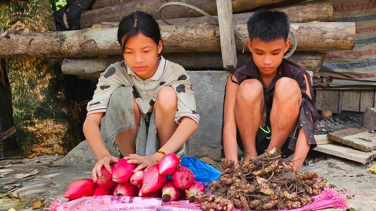 Homeless boy and poor girl picking banana flowers to sell and buy new ...