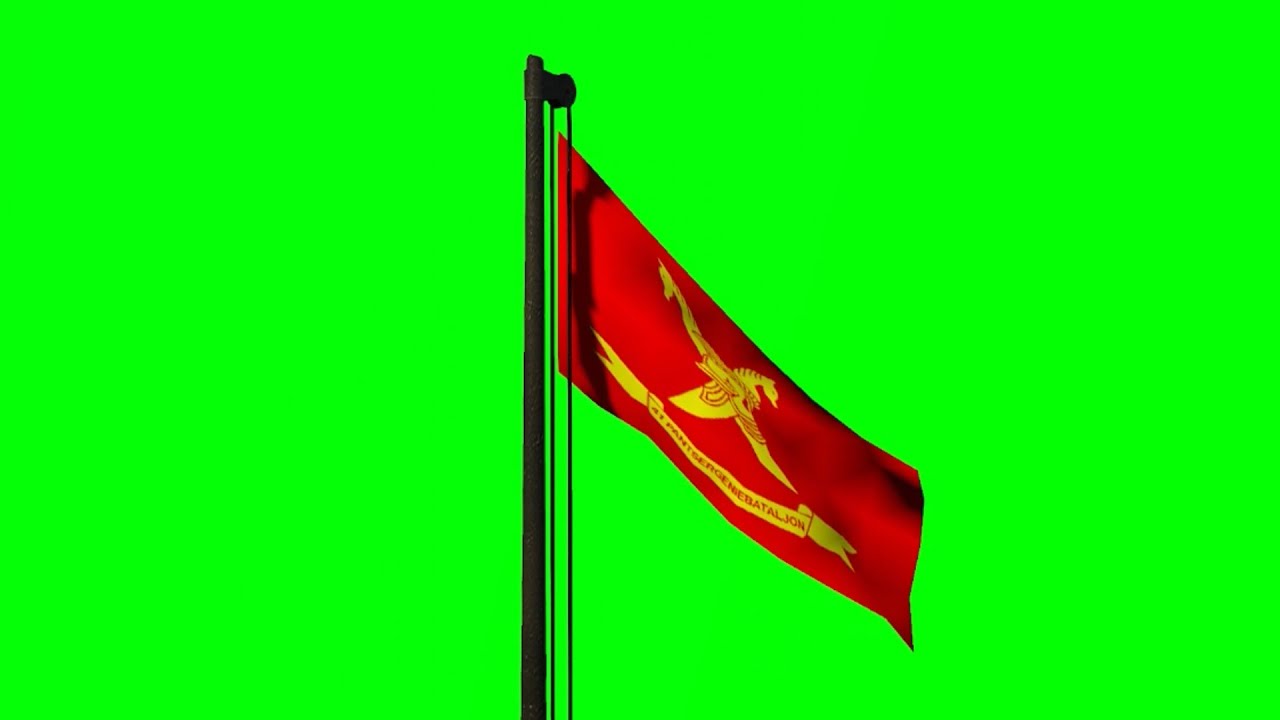 Flag of Netherlands 41 Pantser genie bataljon, green screen - YouTube