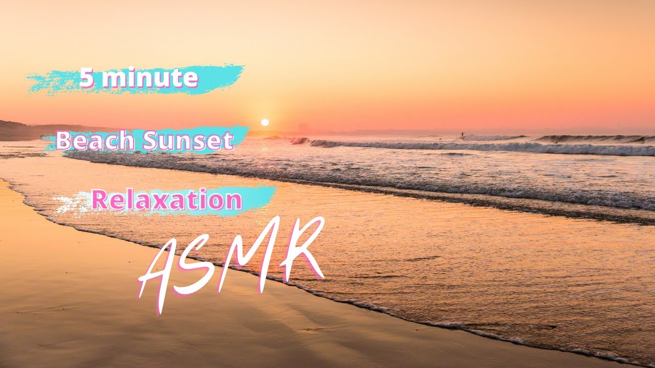 5 MINUTE RELAXING ASMR SUNSET BEACH VIDEO | ASMR OCEAN & SEAGULL / BIRD ...