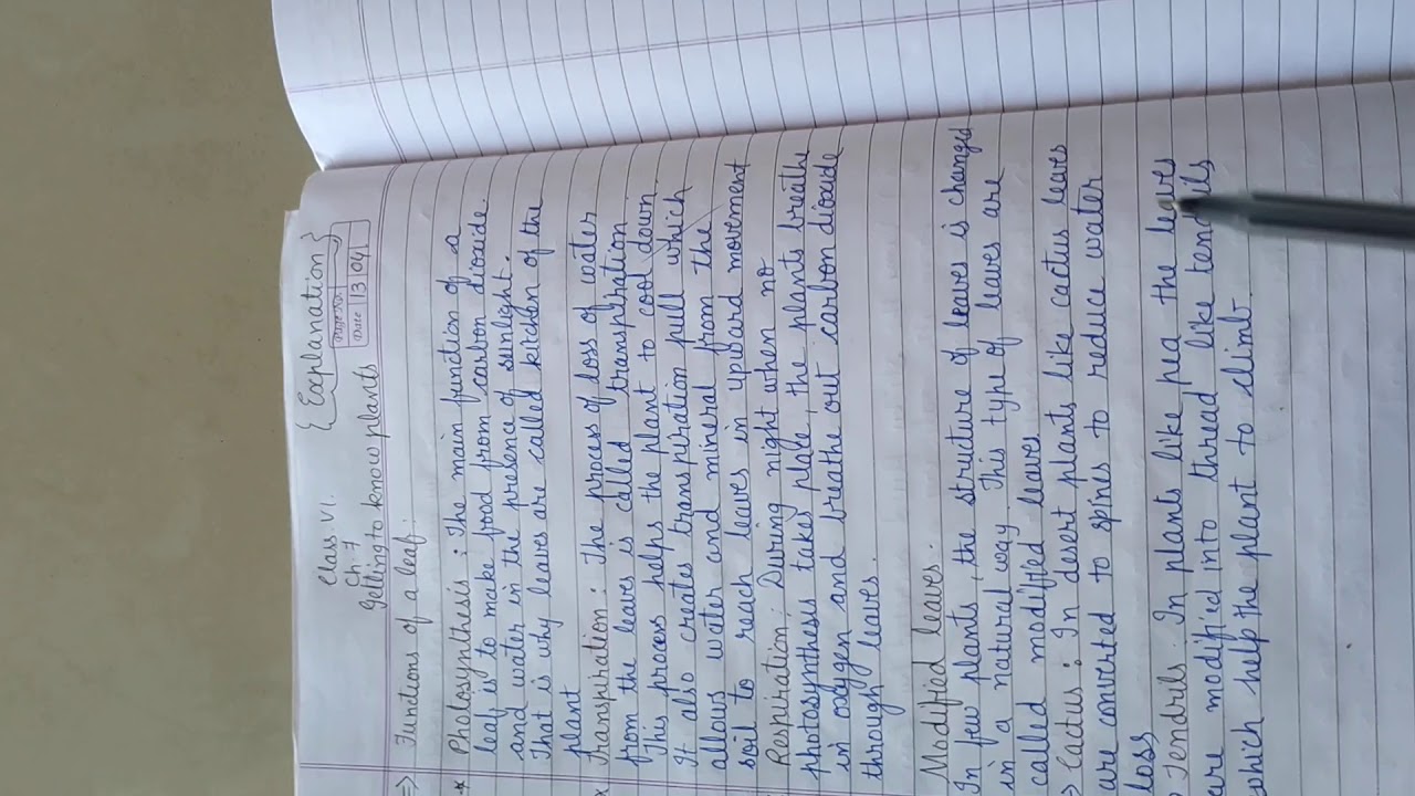Functions Of Leaf Class 6 YouTube functions-of-leaf-class-6-youtube
