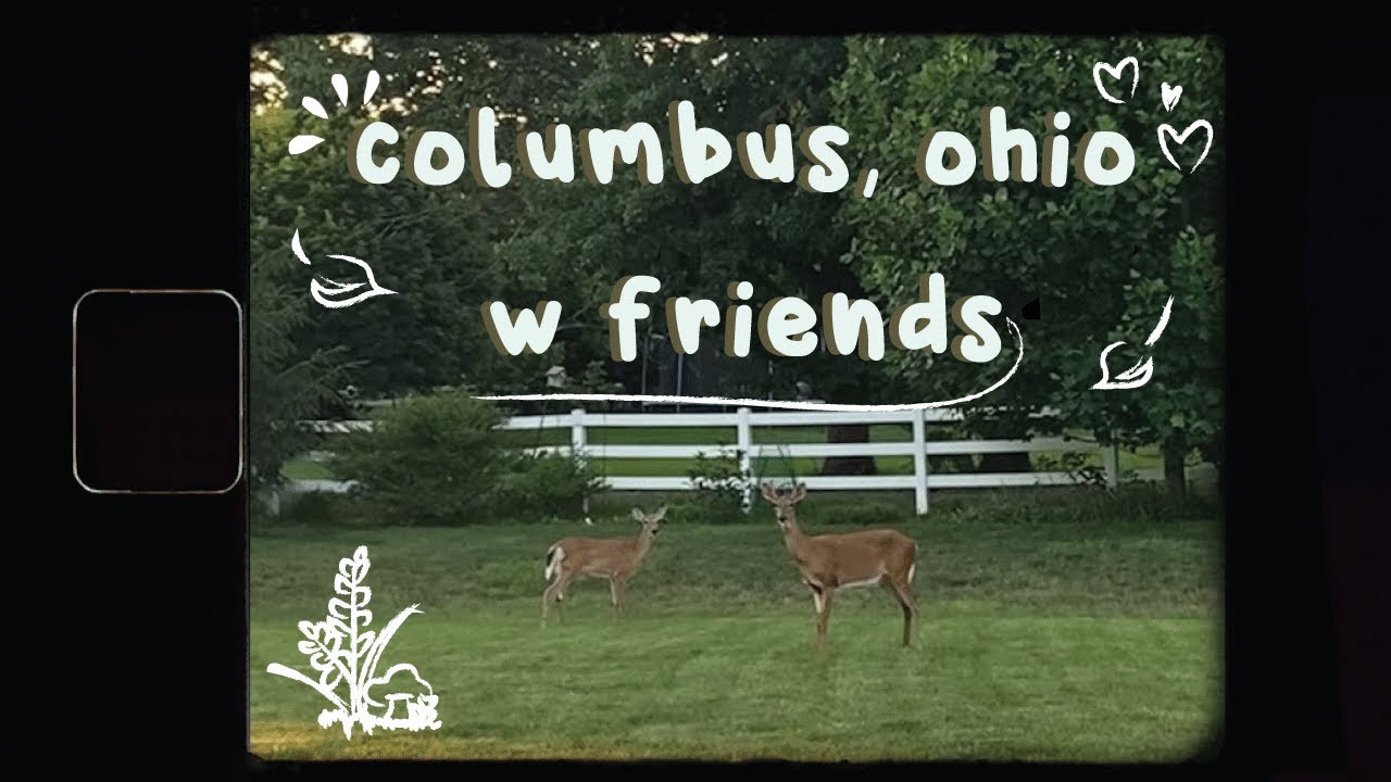 ohio is real (a video diary ft. foolish gamers, fg_ems, & fgmoo) - YouTube