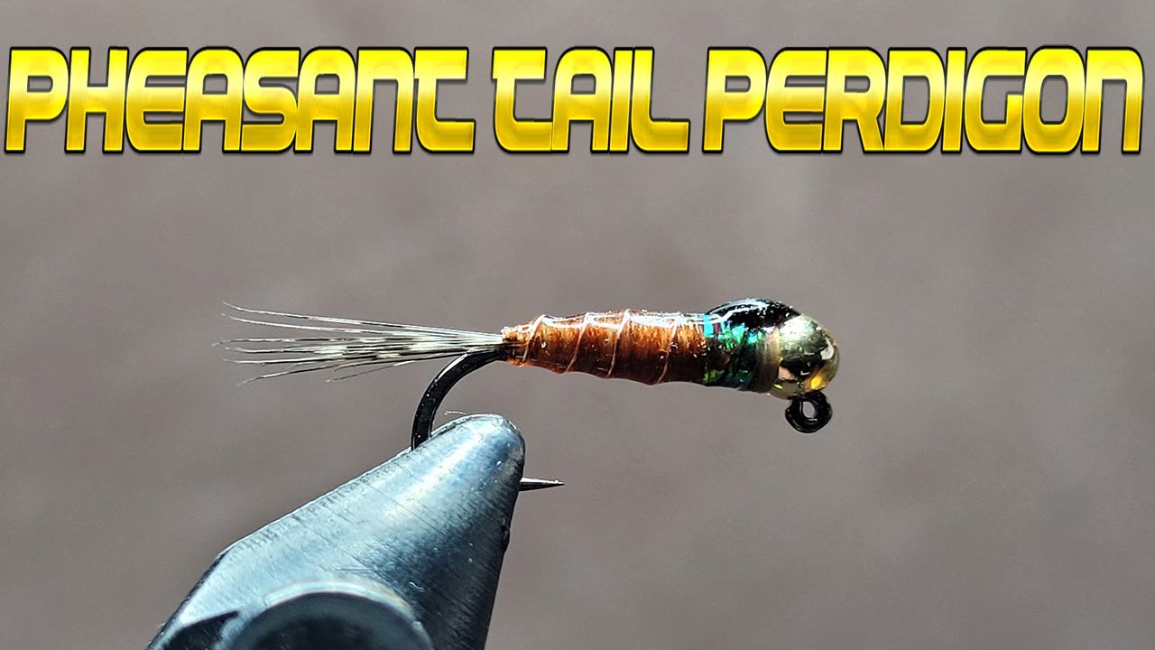Pheasant Tail Perdigon Fly Tying Tutorial - YouTube