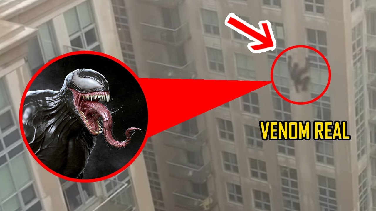 7 VENOM Reales Captados en Camara - YouTube