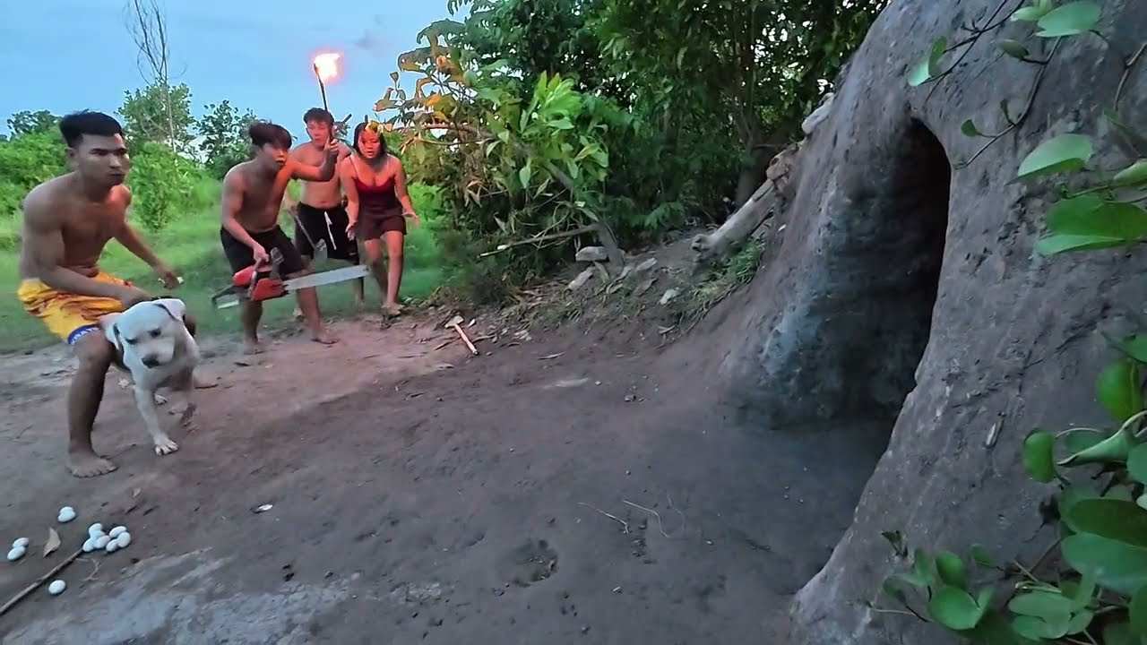 3 Brave Experts And Pitbull Dog Rescue Girl Attacked By 2 Ferocious ...