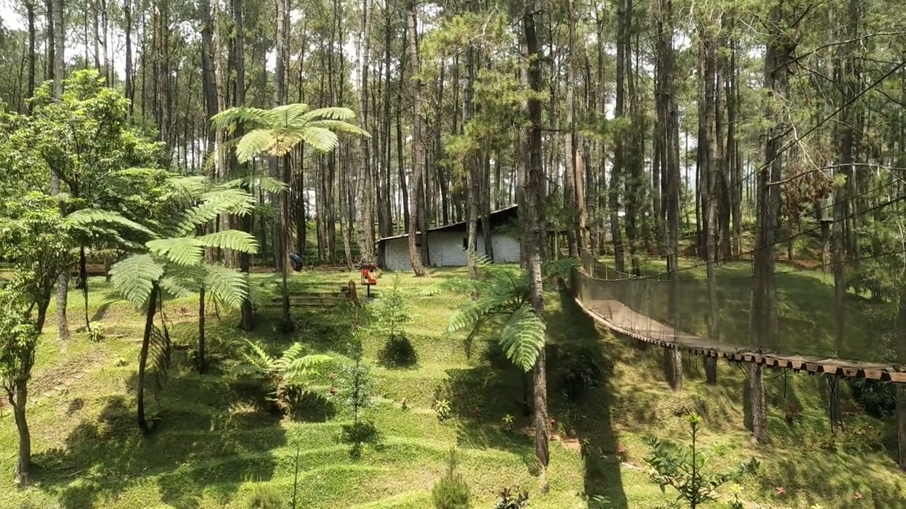 WARUNG KOPI GUNUNG LEMBANG - YouTube