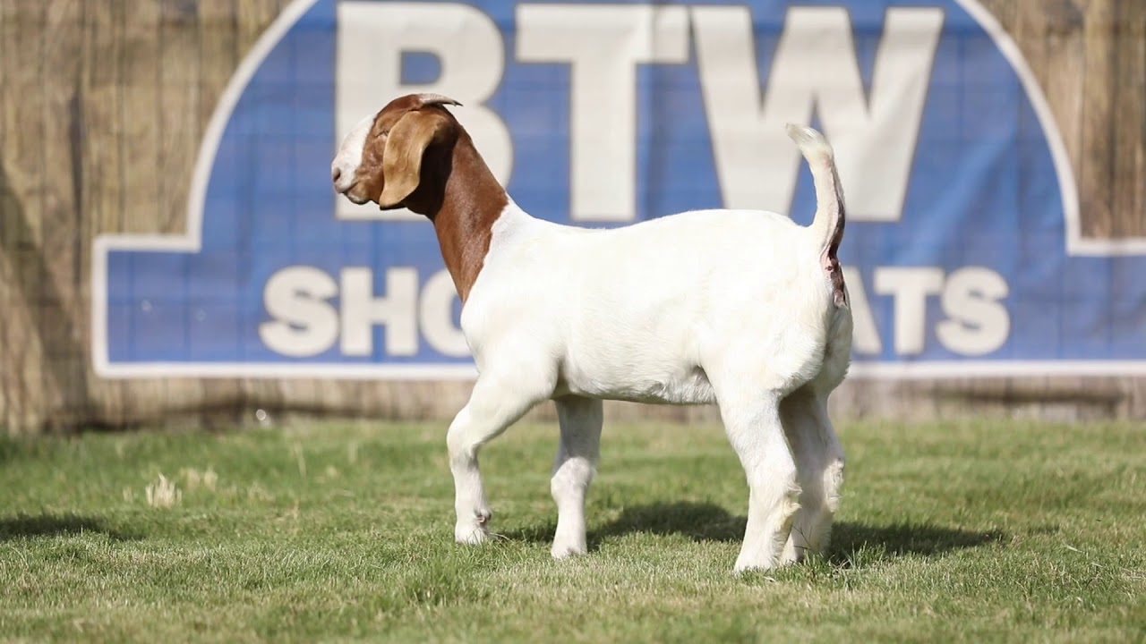 BTW Tag 3A - YouTube