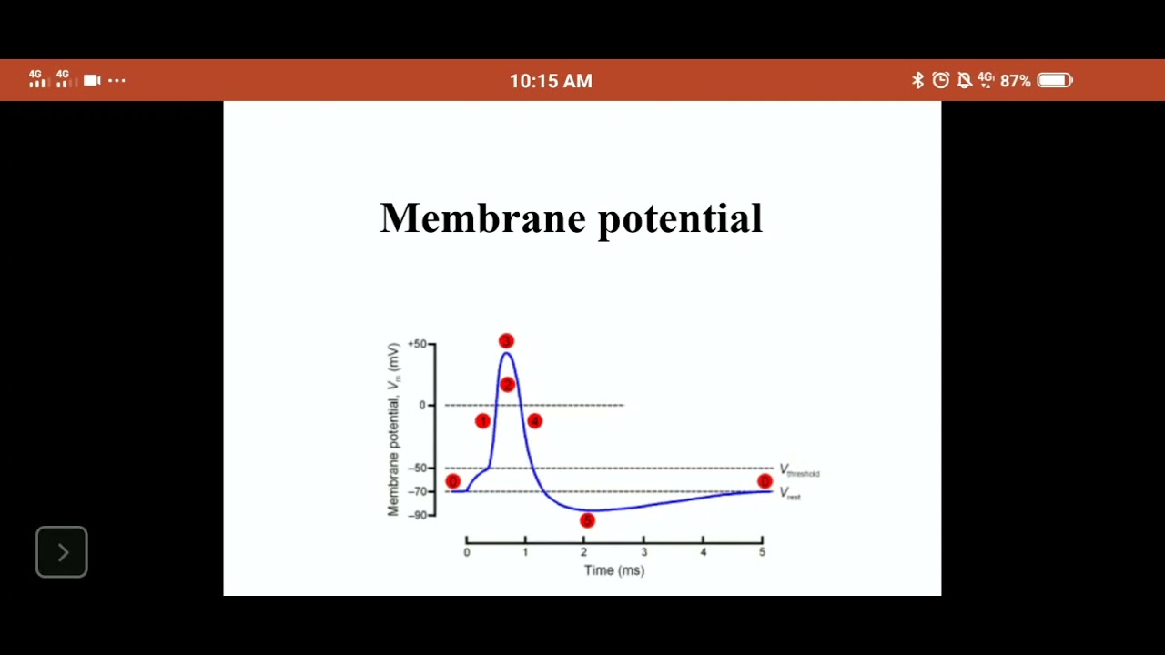 Membrane Potential#biology#membranephysiology#restingmembranpotential# ...