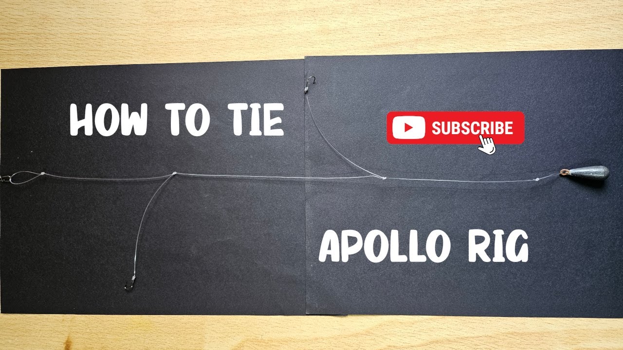 How to tie Basic APOLLO RIG for beginners #fishinginsingapore # ...