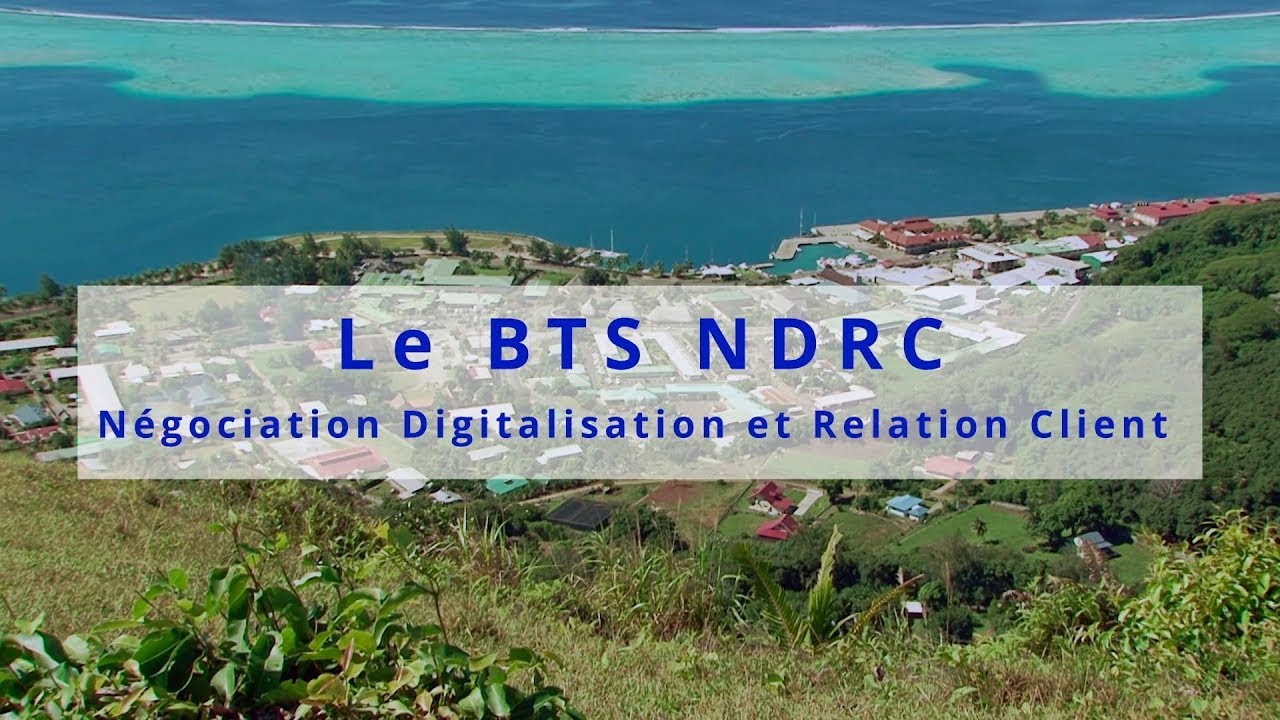 Le BTS NDRC (Négociation, Digitalisation et Relation Client) | Version courte - FR (2023) - YouTube