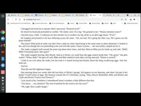 Flipped Chapter 5 Brawk, Brawk, Brawk! pages 44-62 - YouTube