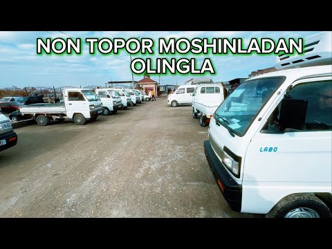 Xorazm Urganch moshin bozori 22.02.26 🔥🔥🔥🔥🔥😎🚘lobo olasizmi?