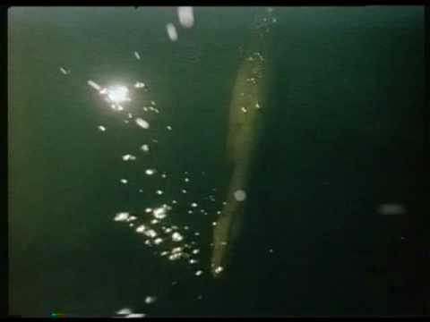Jan Lindblad Film Festival 2010 - Waianas - YouTube