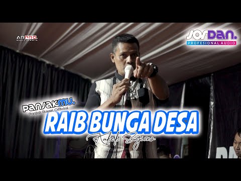 RAIB (Bunga Desa) - Kakek Sugiono ( PanjakMu Live Music ) Jordan Pro Audio