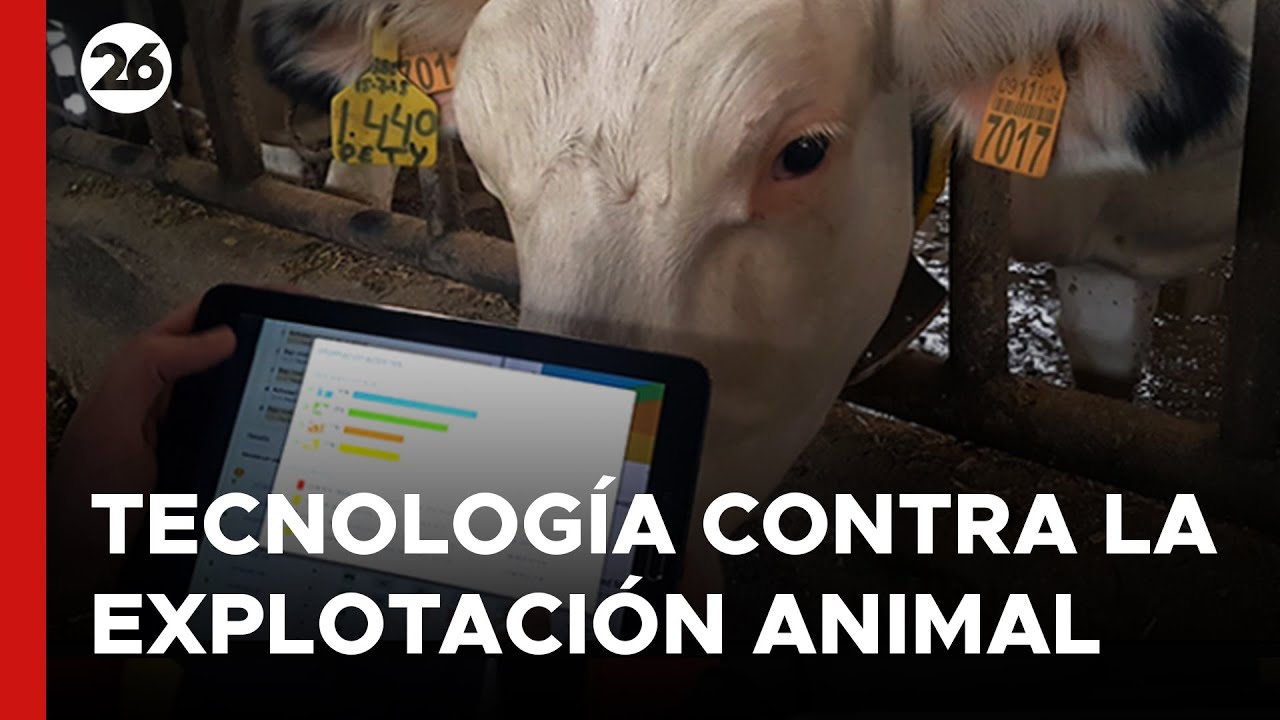 EEUU | Tecnología contra la explotación animal - YouTube