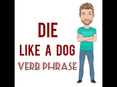 Why Do We Say to Die Like a Dog? Verb Phrase (726) Die Like a Dog ...