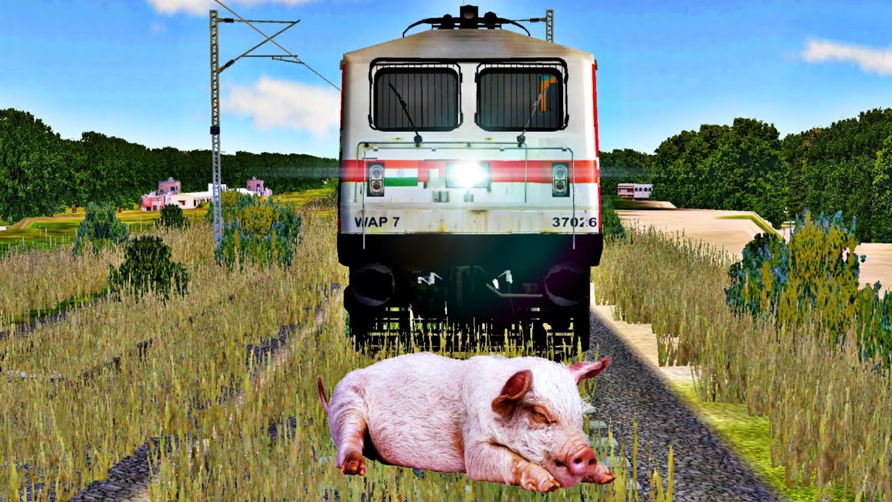Crazy pig STOPS the train and escapes || indian train simulator ...
