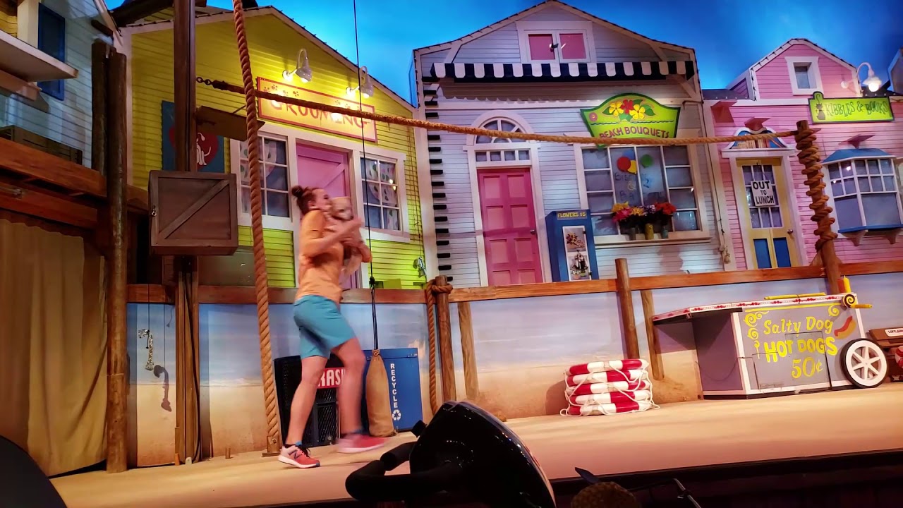 Pets Ahoy!! SeaWorld San Antonio - YouTube