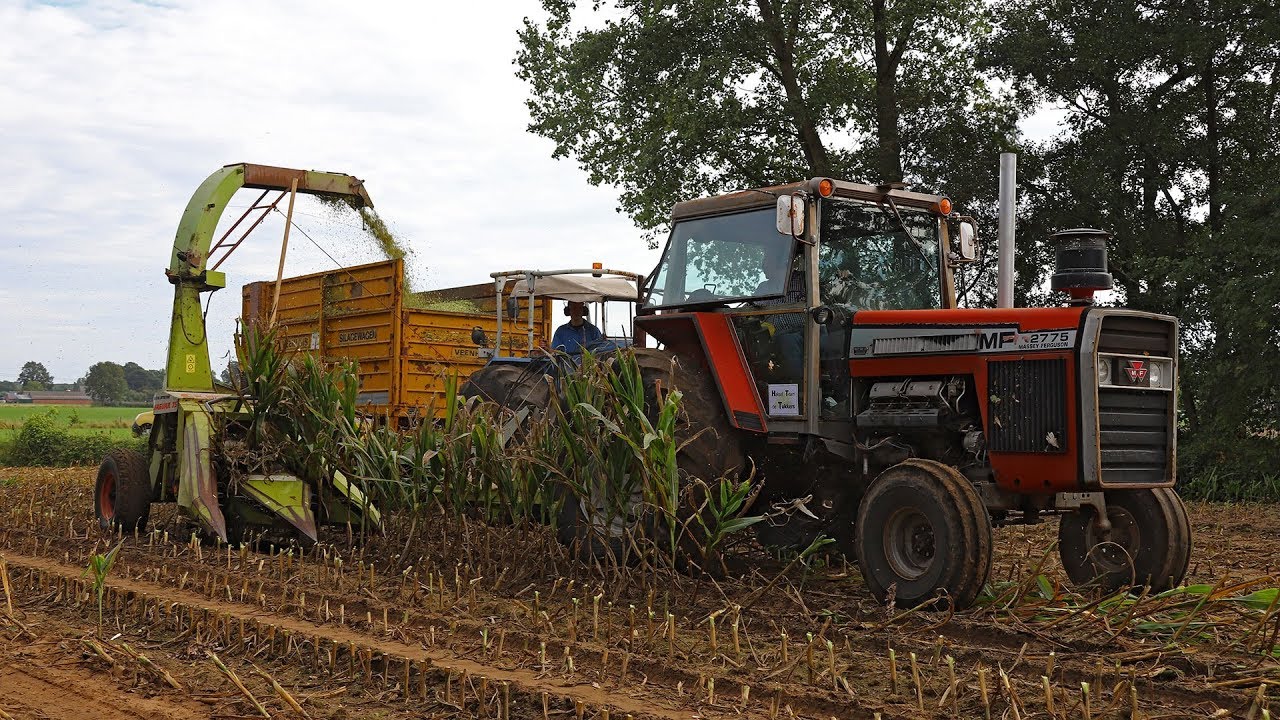Massey Ferguson 2775 | Claas Jaguar 75 & Jaguar 80 SF | Hakselteam De ...