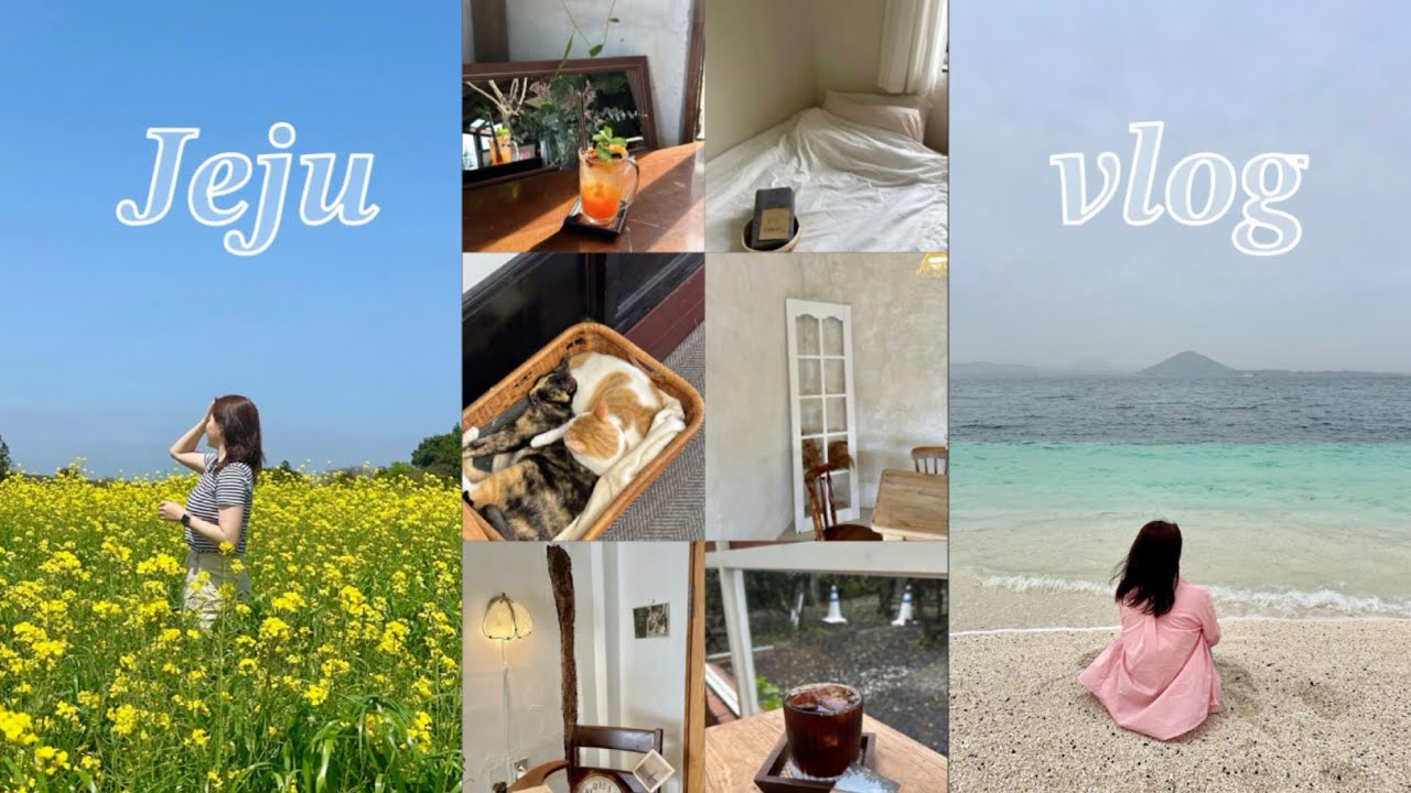 Vlog 제주 브이로그 Part2 제주 동쪽 여행 우도맛집 우도카페 게으른하루 하도리오길잘했어 제주숙소추천