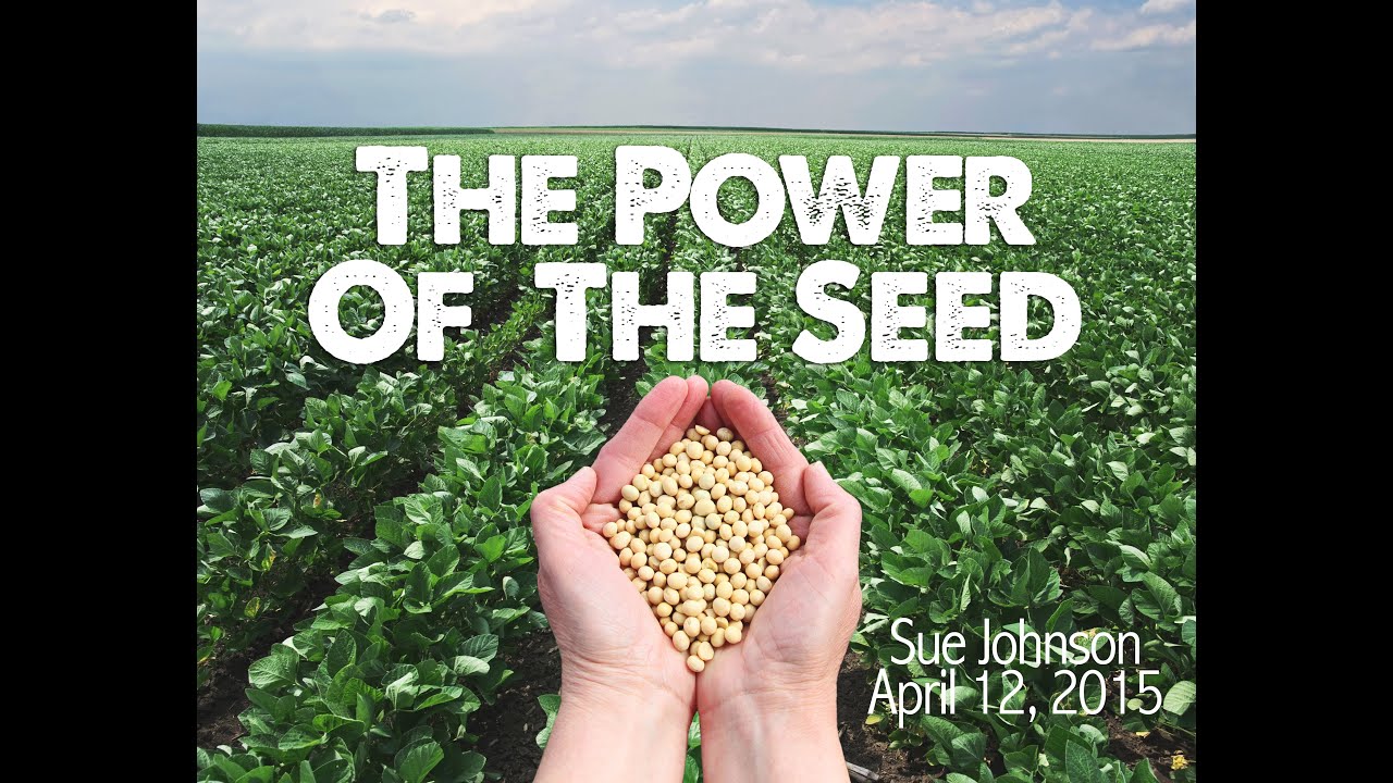 The Power of the Seed - YouTube