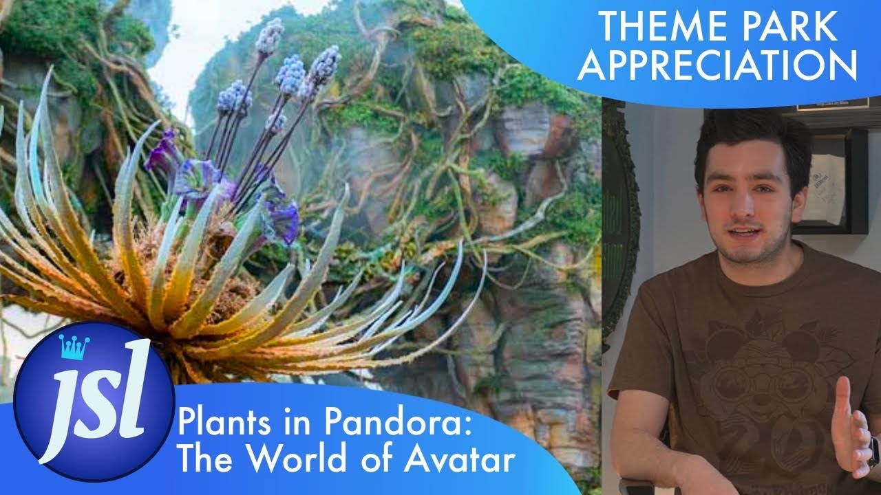 Pandora Theme