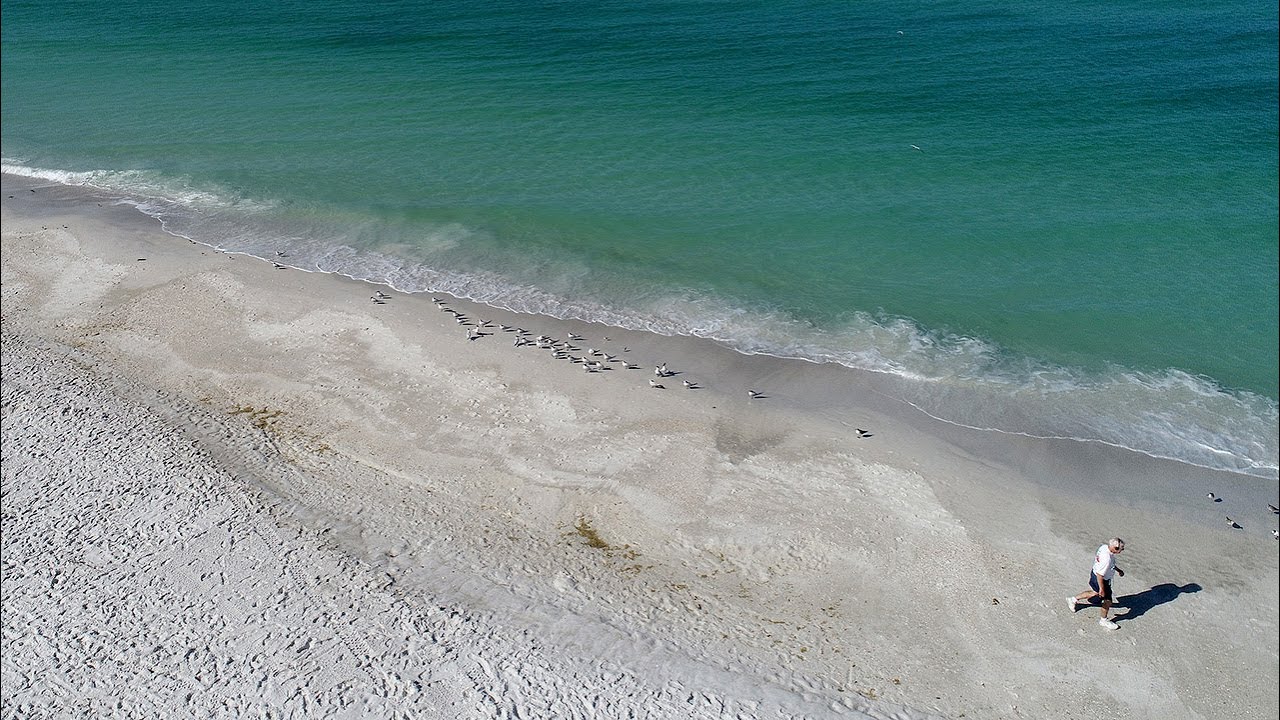 Anna Maria Beaches Closed But Not Empty YouTube Anna Maria Beaches Closed But Not Empty YouTube
