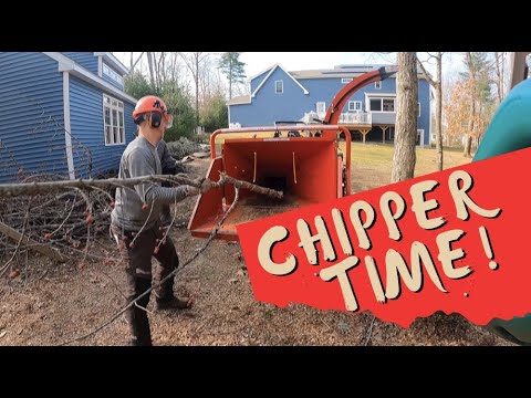 First Time ROCKING A WOOD CHIPPER! - YouTube