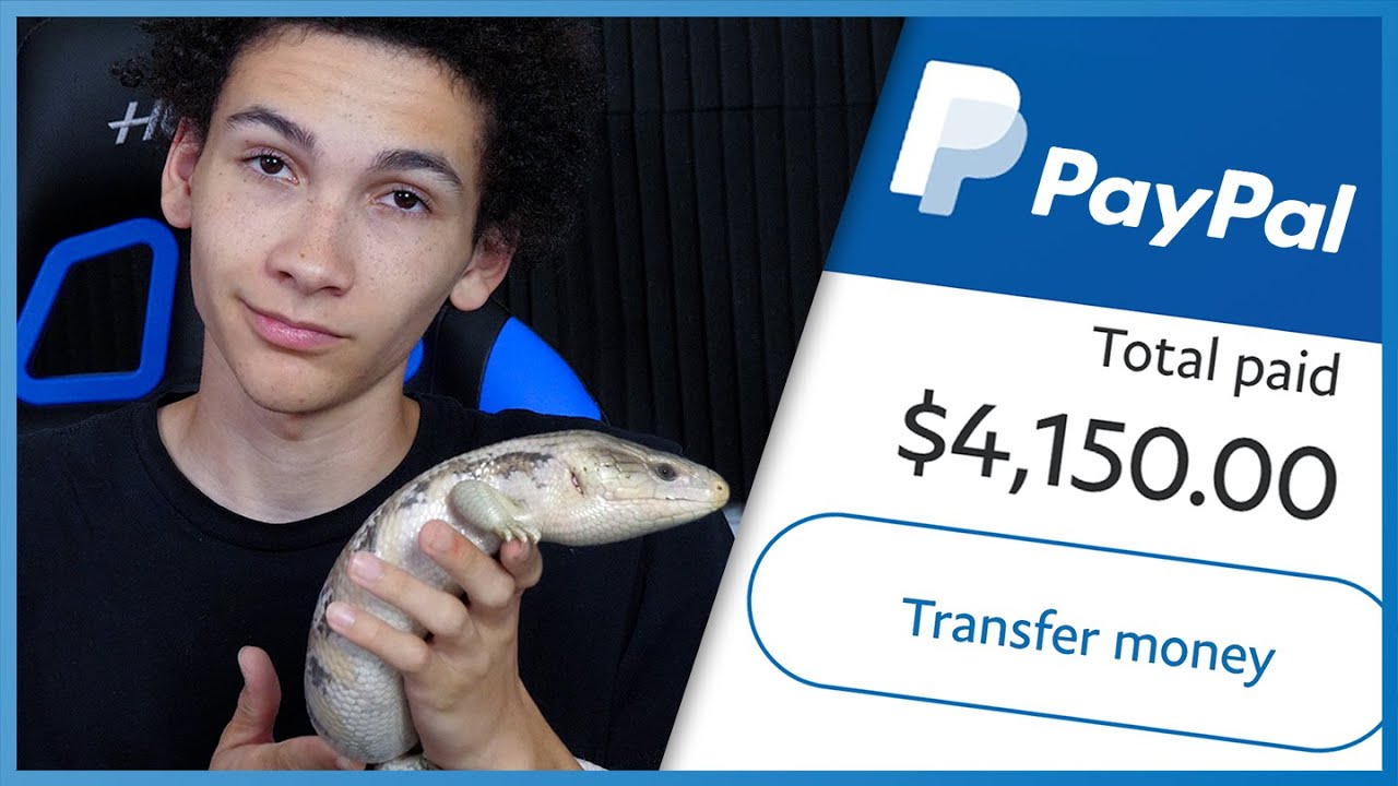 The Most Expensive Pet Lizards I've Ever Sold - YouTube