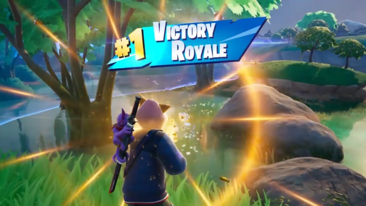 Fortnite solo victory Royale zero build - YouTube