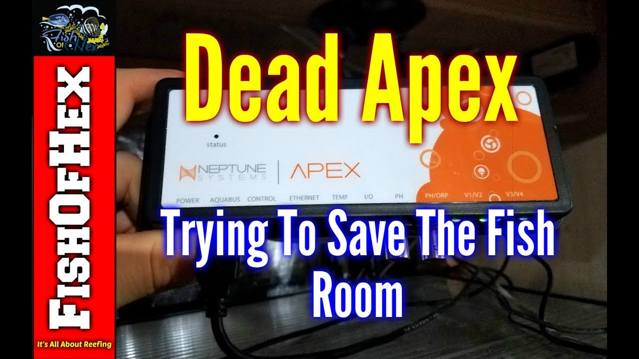 DEAD Neptune Apex Base Unit | Race To Save The Fish Room - YouTube