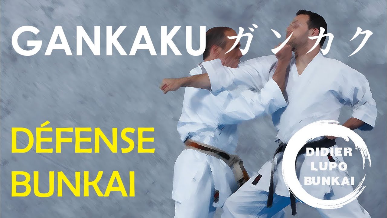 GANKAKU Défense et Bunkaï par Didier Lupo - YouTube