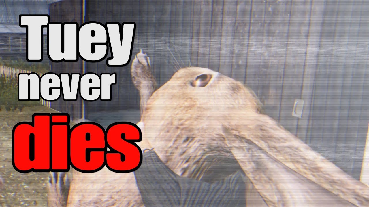 Looking after a rabbit in Dayz - YouTube