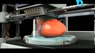 Impresión de órganos Ya es posible imprimir riñón en 3D... | Doovi