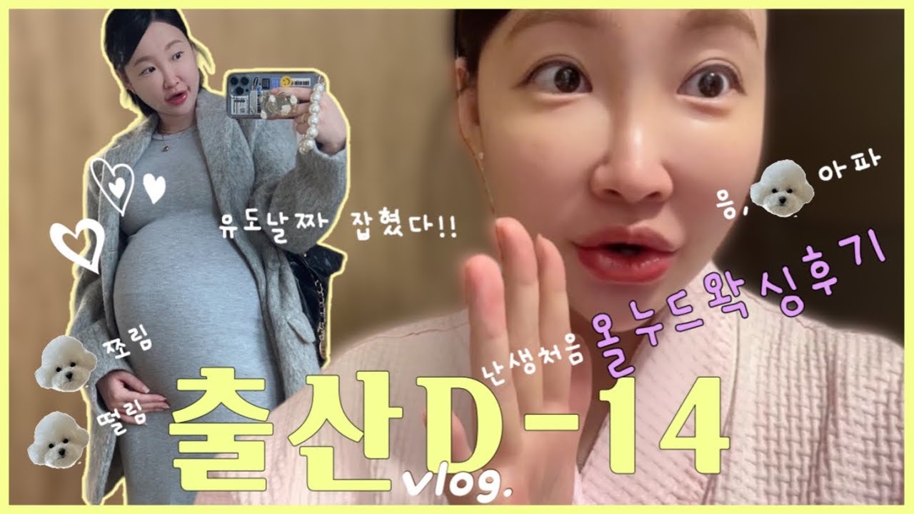 Vlog 출산 2주 전 난생처음 올누드왁싱이란 걸 해봤다 왁싱 다신 안해 못해 브라질리언 왁싱 후기 만삭 임산부 일상 먹방 콤비 네무리라