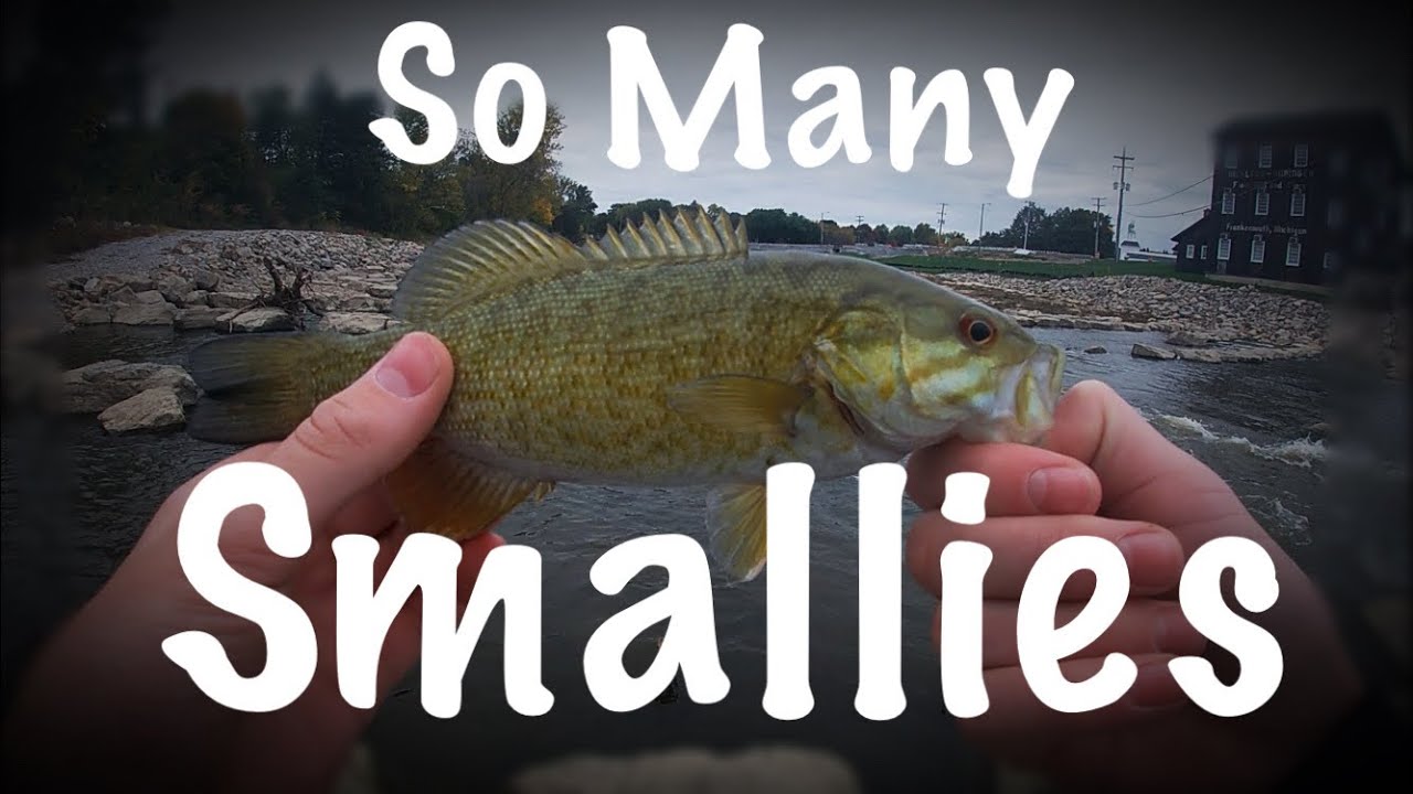 Fishing Frankenmuth Michigan’s Rock Dam (Cass River) for Smallmouth ...