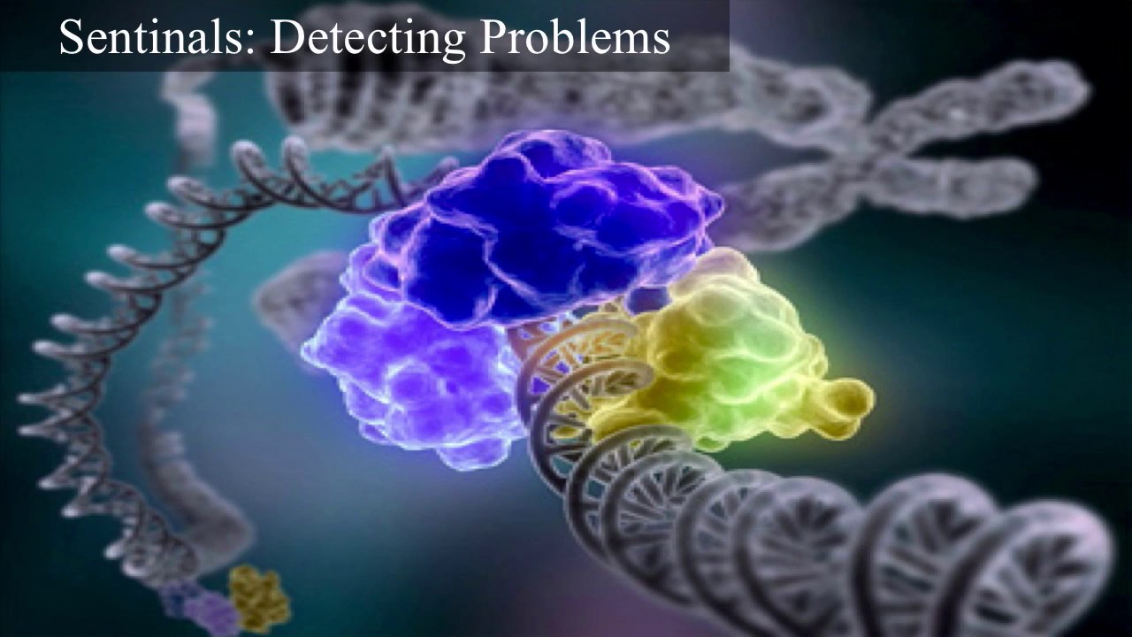 Stephen Elledge: 2017 Breakthrough Prize Symposium - YouTube