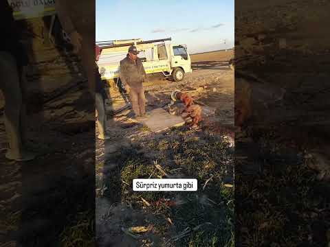 O neydi gıı 😂 #reklamdeğildir