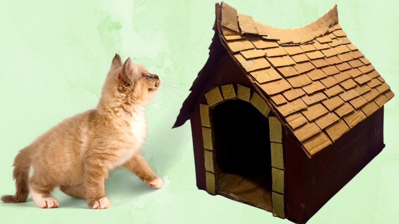 how to make easy cat house using cardboard - YouTube