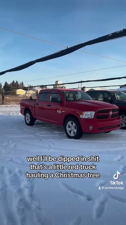 LITTLE RED TRUCK HAULING A CHRISTMAS TREE - YouTube