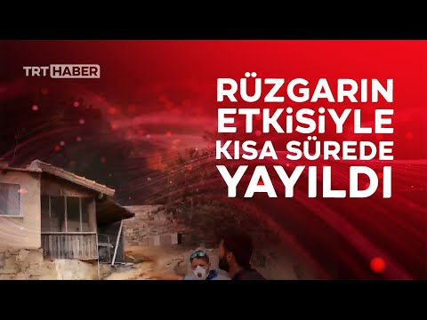 Muğla'da orman yangını: Alevler evlere yöneldi