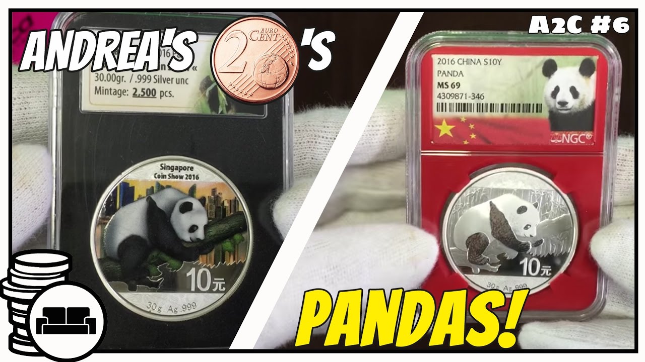 Pandamonium! 1 show = 3 Pandas - YouTube