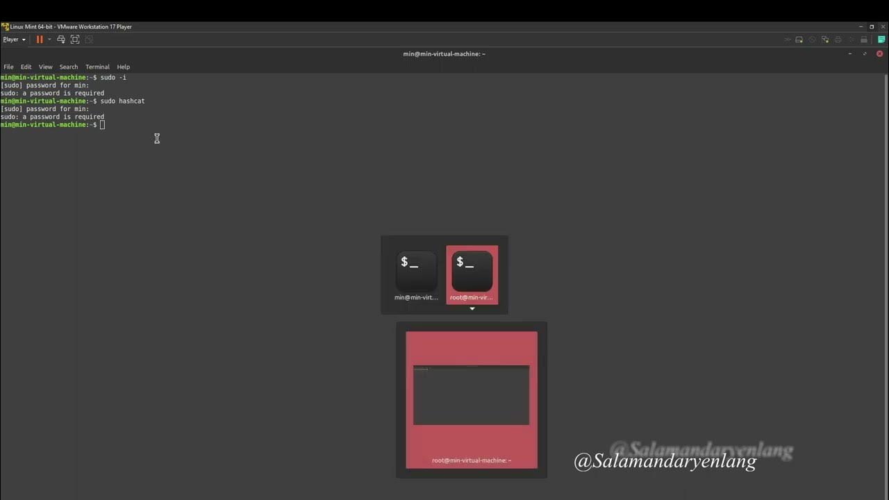 3.Basic Command Line trên Linux P1 - 2023 - YouTube