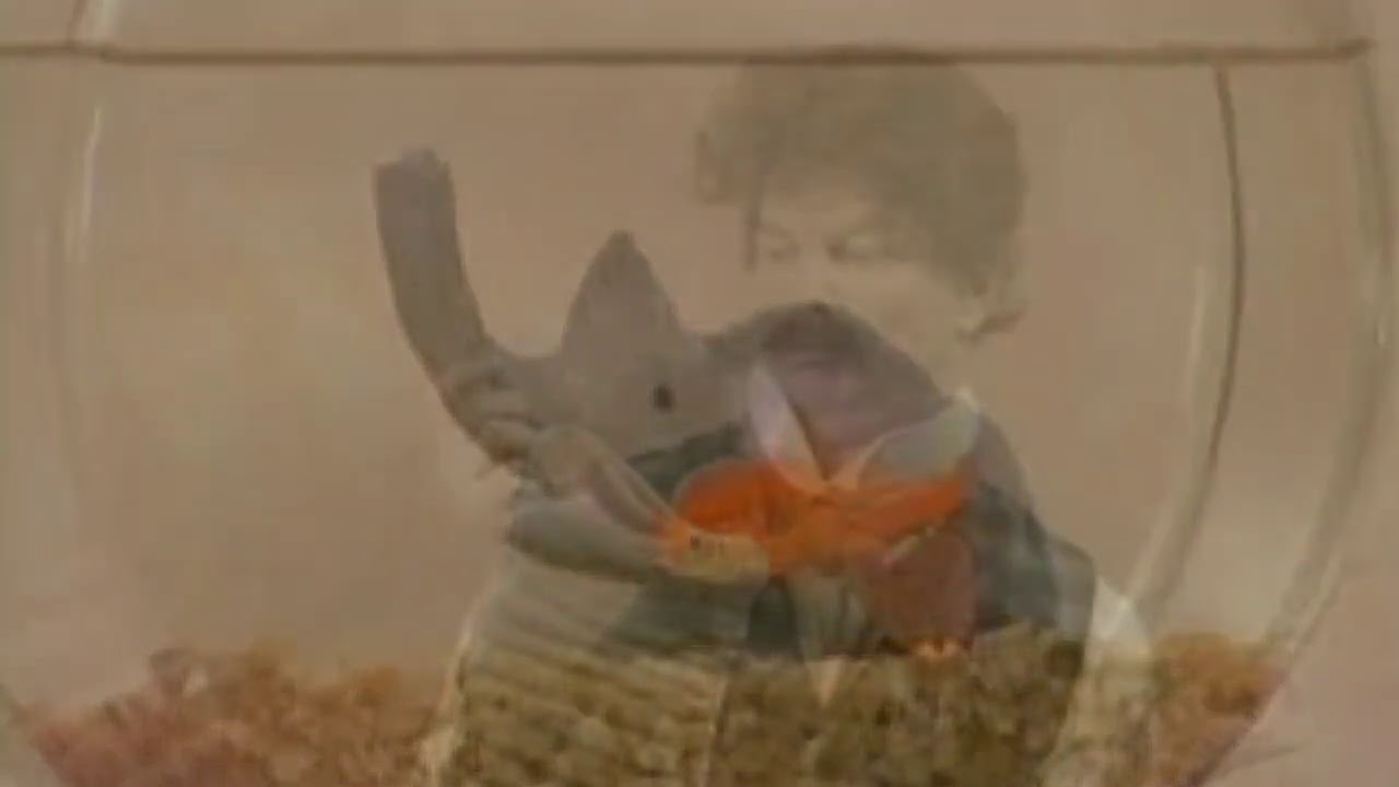 Elmo's World: Elephants, Season 2, Episode 11 - YouTube